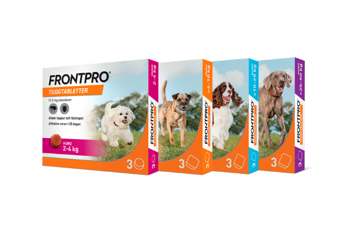 Produkter för hund – Skydd mot fästingar, loppor och löss